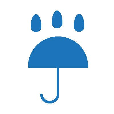 Portable Knife Arch UK | RISK P1 | Portable Metal Detector Arch